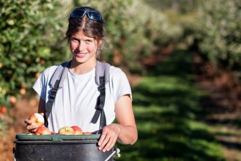 New Zealand Working Holiday Visa 2026: Confirmed Opening Dates by ...